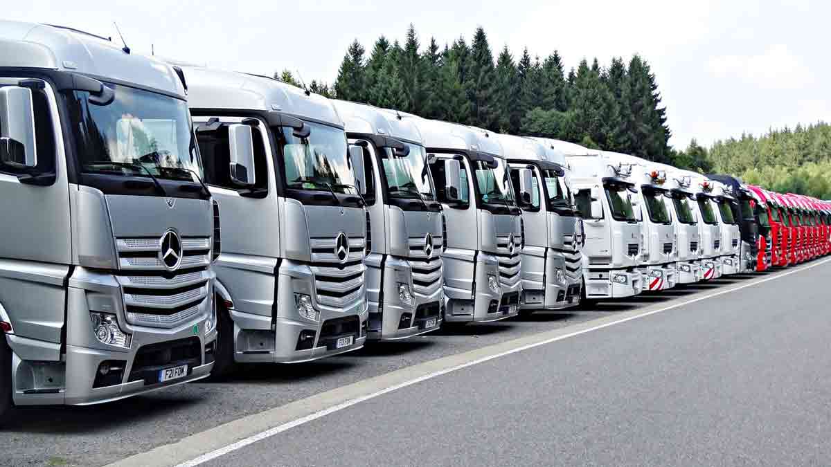 Patente C CQC merci insieme: come fare, pro e contro - Portale Patente